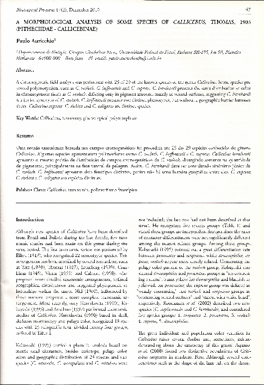 (PDF) A MORPHOLOGICAL ANALYSIS OF SOME SPECIES OF CALLICEBUS, THOMAS ...