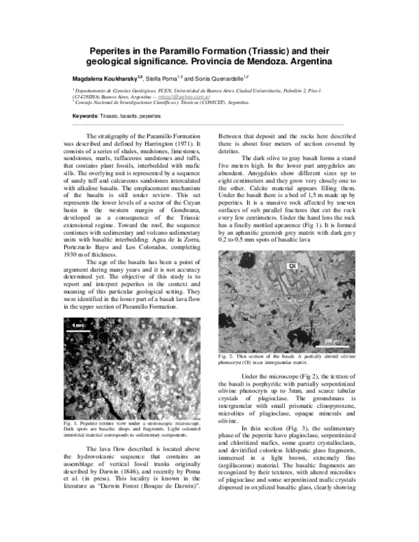 (PDF) Peperites in the Paramillo Formation (Triassic) and their ...