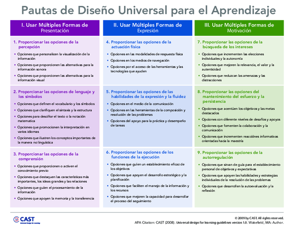 (PDF) UDL Guidelines v2 0 Organizer espanol