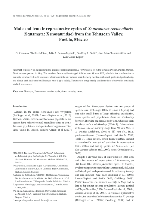 (PDF) Male and female reproductive cycles of Xenosaurus rectocollaris ...