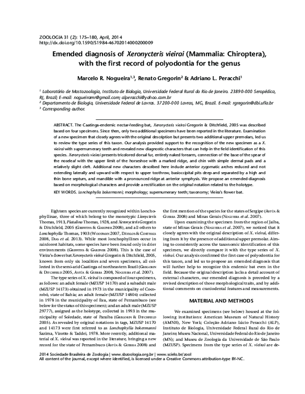 (PDF) Emended diagnosis of Xeronycteris vieirai (Mammalia: Chiroptera ...