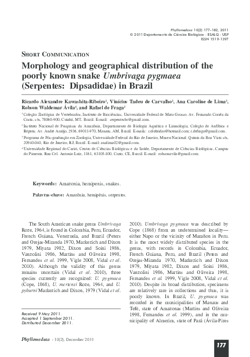 (PDF) Morphology and geographical distribution of the poorly known snake Umbrivaga pygmaea ...