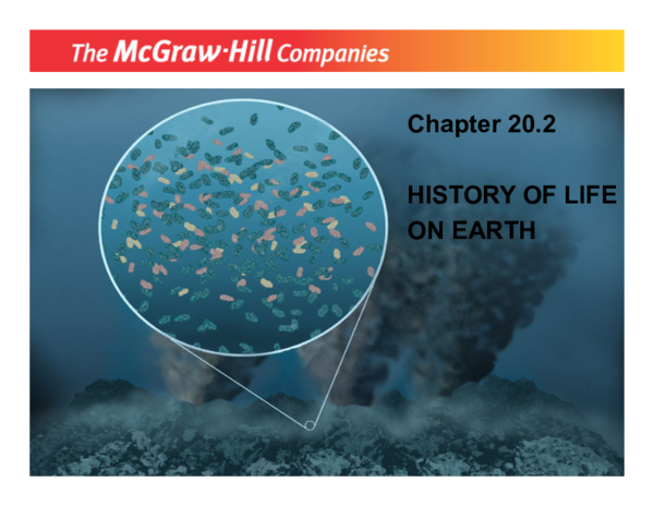 (PDF) Chapter 20.2 HISTORY OF LIFE ON EARTH