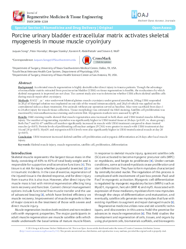 (PDF) Porcine urinary bladder extracellular matrix activates skeletal ...