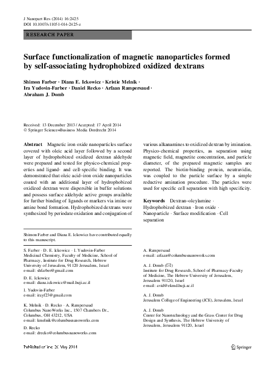 (PDF) Surface functionalization of magnetic nanoparticles formed by ...