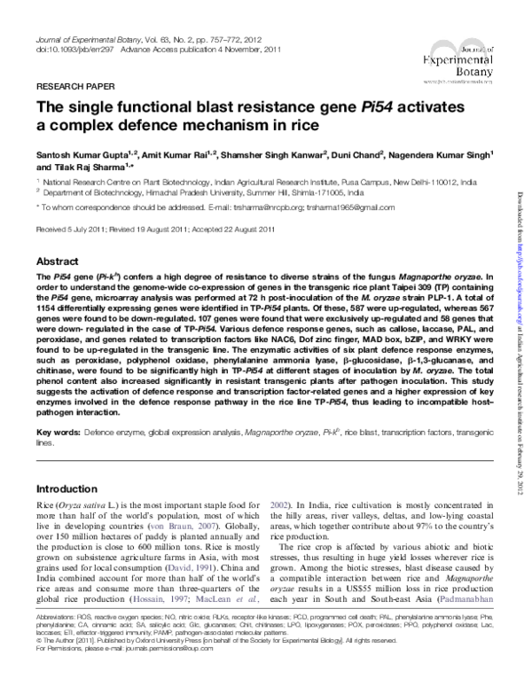 (PDF) The single functional blast resistance gene Pi54 activates a ...