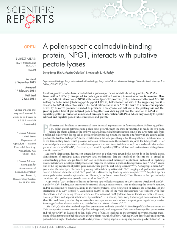 (PDF) A pollen-specific calmodulin-binding protein, NPG1, interacts with putative pectate lyases