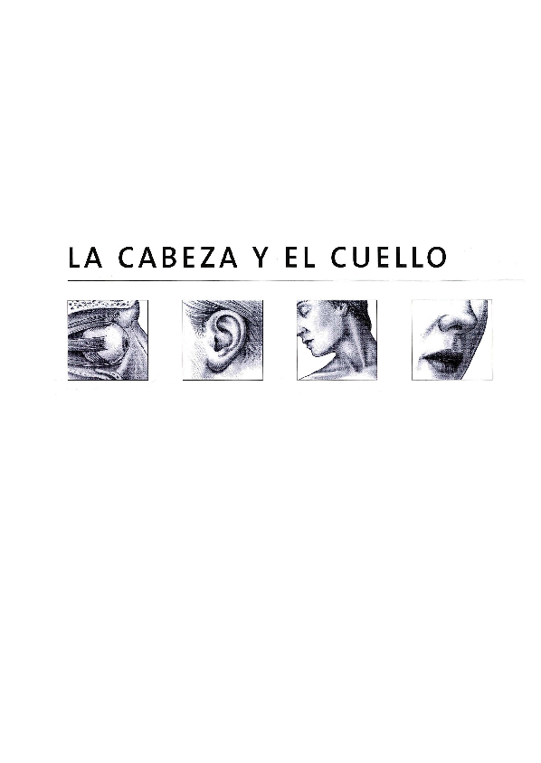 (PDF) LA CABEZA Y EL CUELLO