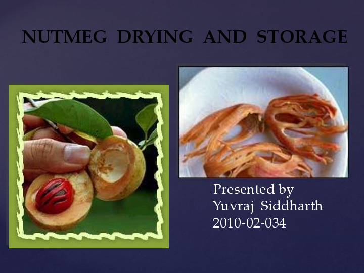 (PPT) Nutmeg Drying And Storage