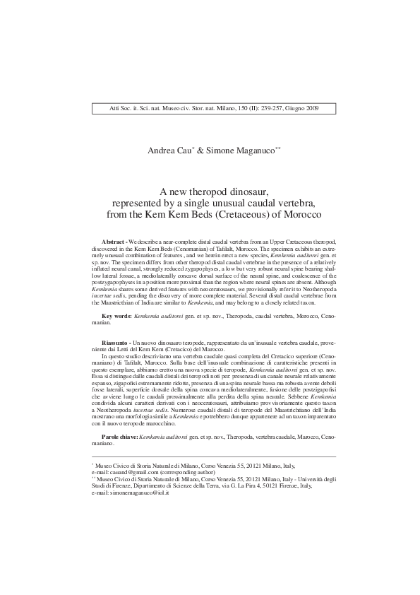 A new theropod dinosaur, represented by a single unusual caudal ...