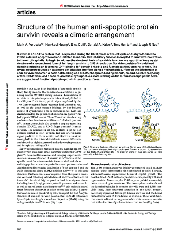 Structure of the human anti-apoptotic protein survivin reveals a ...
