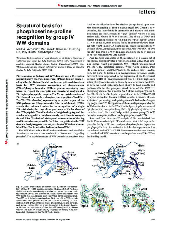 Structural basis for phosphoserine-proline recognition by group IV WW ...