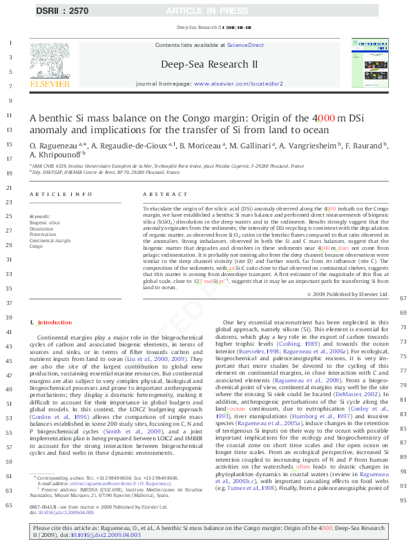 (PDF) A benthic Si mass balance on the Congo margin: Origin of the 4000 ...