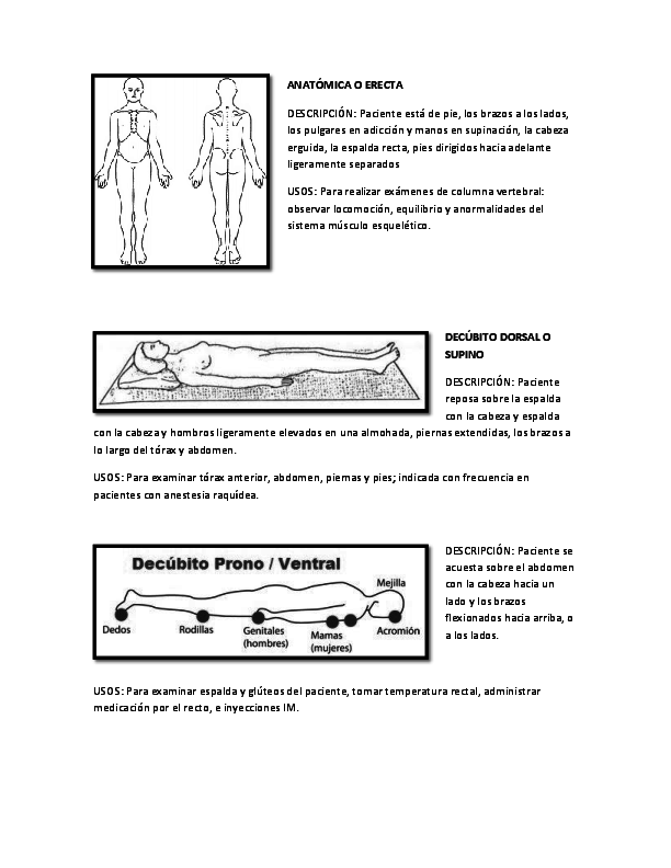 (DOC) Posiciones Anatómicas En Camas de Hospital y Sus Usos