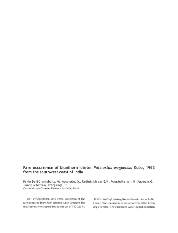 (PDF) Blunthorn lobster Palinustus waguensis southwest coast of India