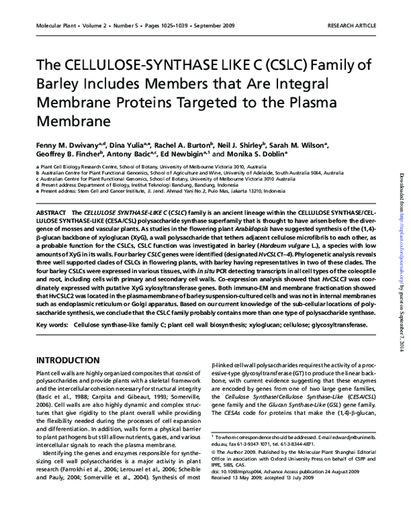 (PDF) The CELLULOSE-SYNTHASE LIKE C (CSLC) Family of Barley Includes ...
