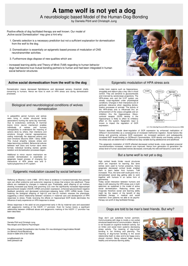 (PDF) A tame wolf is not yet a dog - Active social Domestication