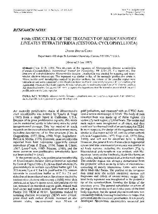 (PDF) Fine structure of the tegument of Mesocestoides lineatus ...