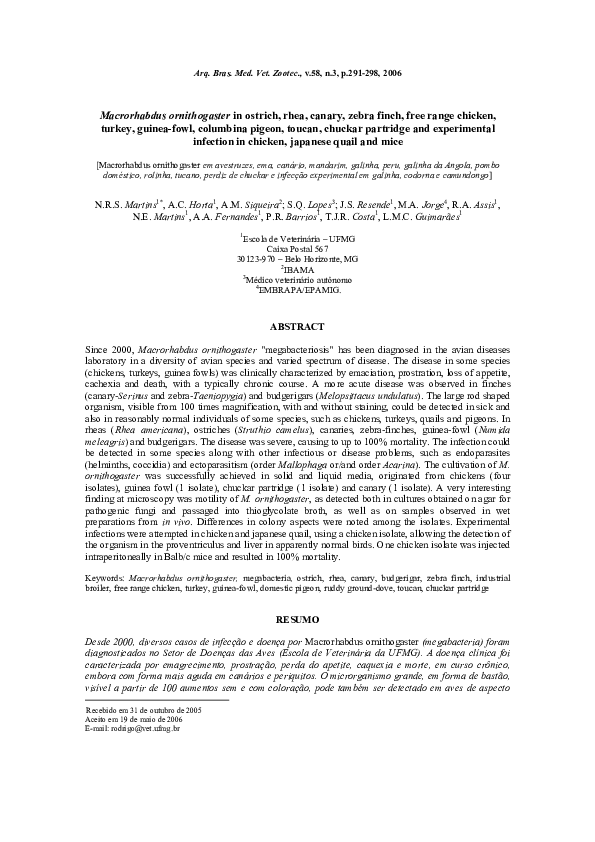 (PDF) Macrorhabdus ornithogaster in ostrich, rhea, canary, zebra finch ...