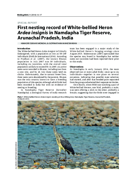 (PDF) First nesting record of White-bellied heron Ardea insignis in ...