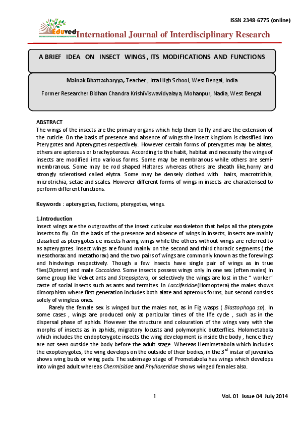 (PDF) Insects wings
