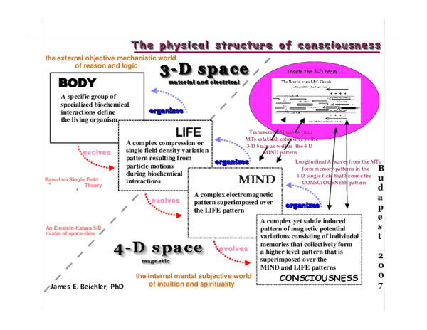 (DOC) The physical structure of consciousness