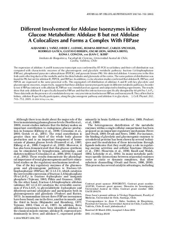 Different involvement for aldolase isoenzymes in kidney glucose ...