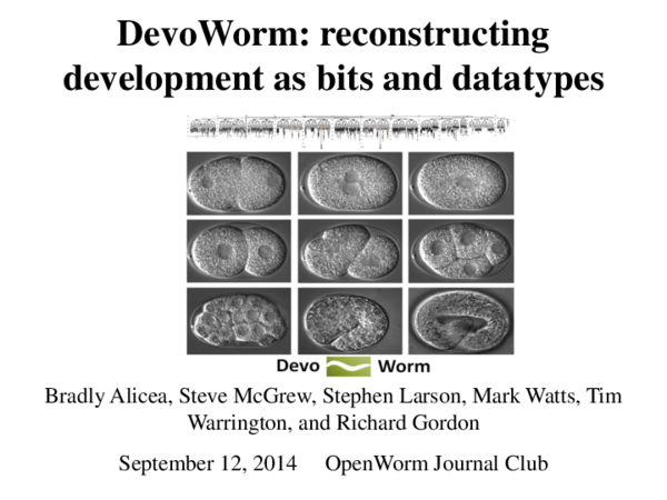 (PPT) DevoWorm: raising the (Open)Worm | Bradly Alicea - Academia.edu