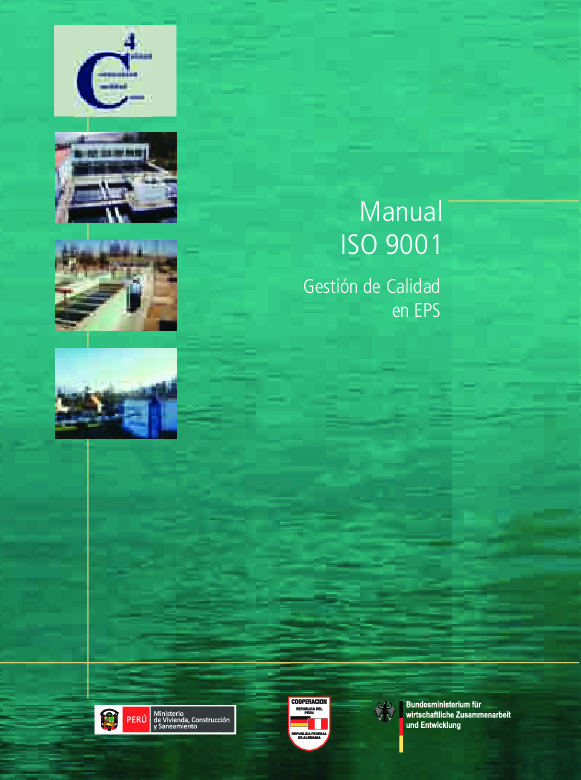 (PDF) Manual ISO 9001
