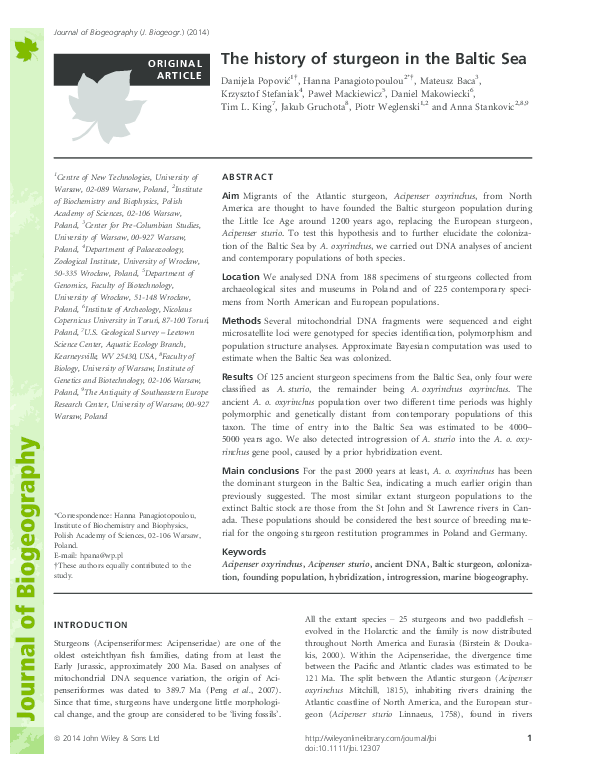 (PDF) History of sturgeons in the baltic sea