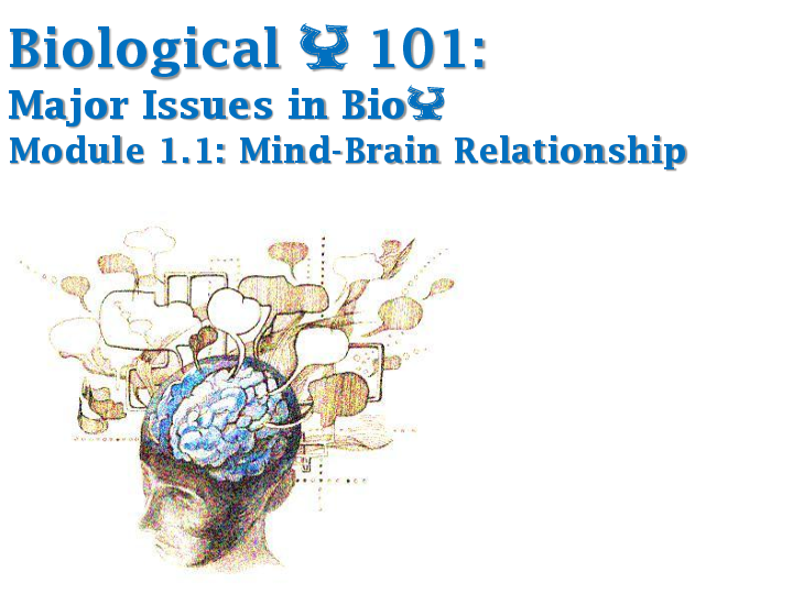 (PDF) Mind-Brain Relationship