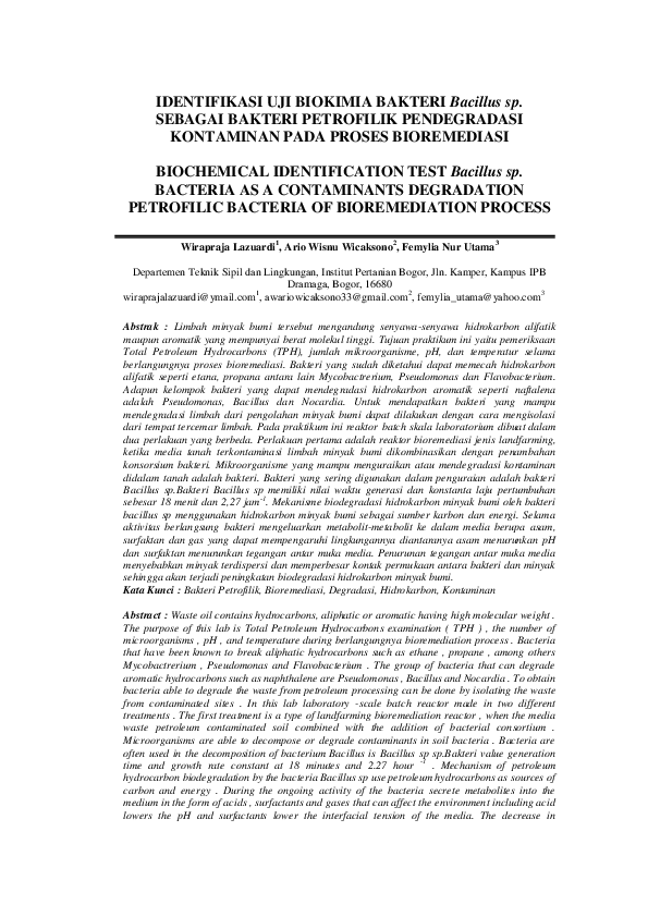 IDENTIFIKASI UJI BIOKIMIA BAKTERI Bacillus sp. SEBAGAI BAKTERI ...