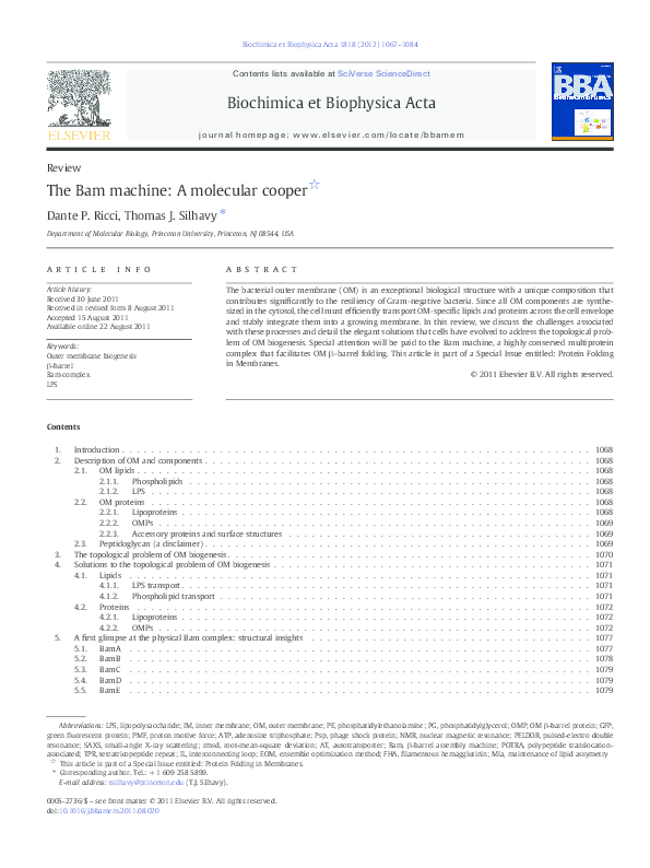 (PDF) The Bam machine: A molecular cooper