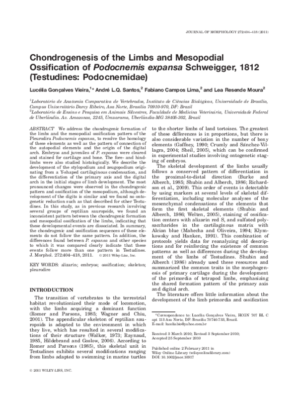 (PDF) Chondrogenesis of the Limbs and Mesopodial Ossification of ...