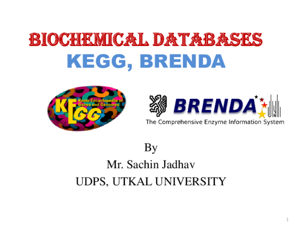 (PPT) KEGG and BRENDA biochemical databases