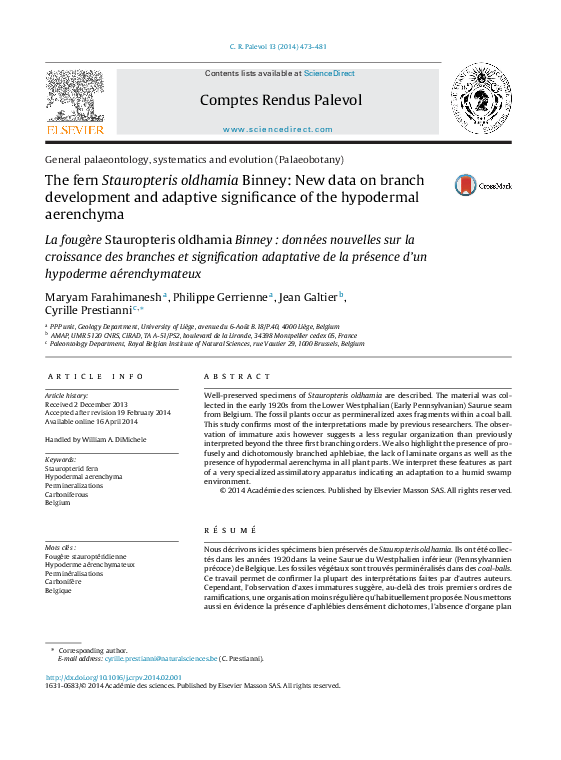 2014 - The fern Stauropteris oldhamia Binney: New data on branch ...