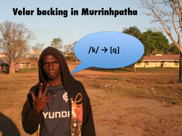 (PDF) Velar backing as a stylistic effect in Murrinh Patha (seminar)