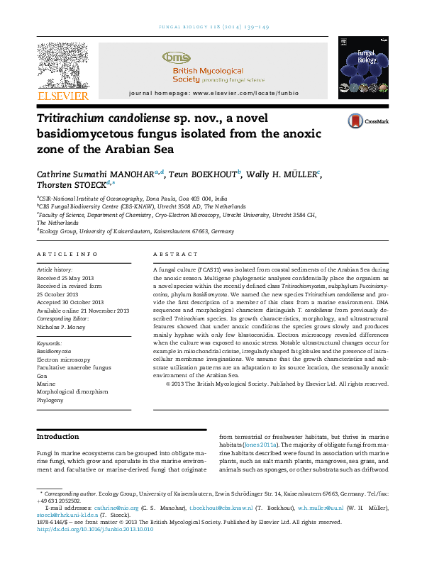(PDF) Tritirachium candoliense sp. nov., a novel basidiomycetous fungus ...