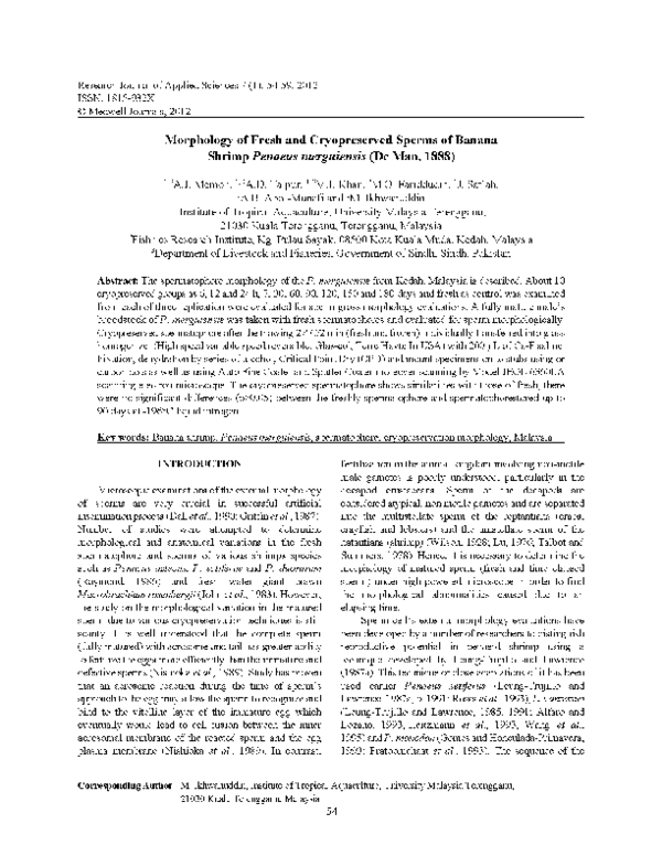 (PDF) Morphology of fresh and cryopreserved sperms of Banana Shrimp ...