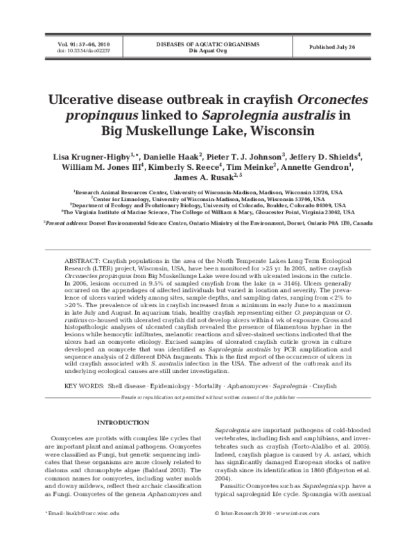 (PDF) Ulcerative disease outbreak in crayfish Orconectes propinquus ...