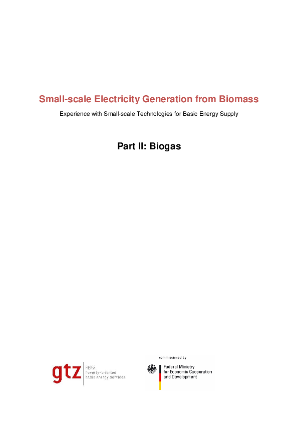 (PDF) Small-scale Electricity Generation from Biomass Experience with ...