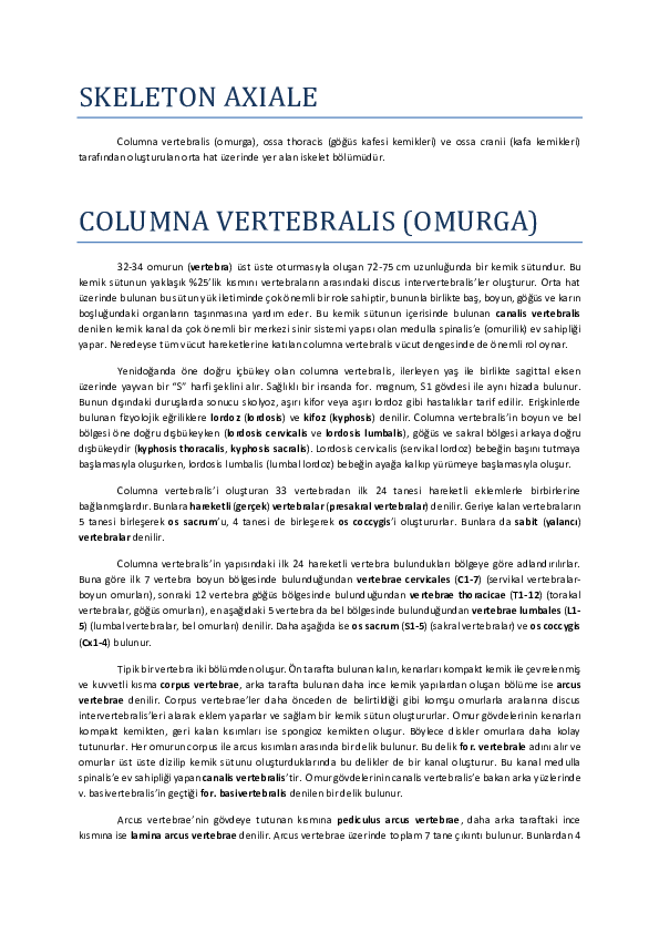 (PDF) SKELETON AXIALE