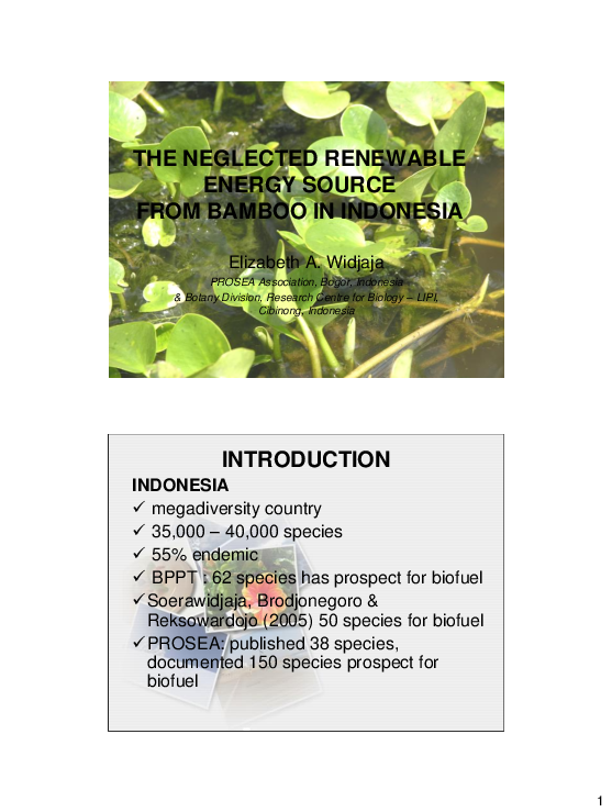 (PDF) Ethnobotany of the funeral ceremony of the Torajanese