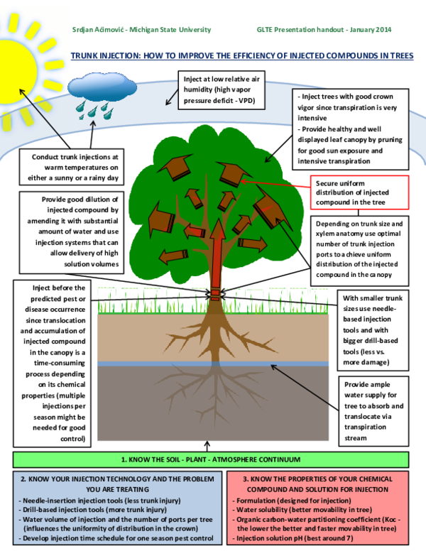 (PDF) Trunk Injection: How To Improve The Efficiency of Injected ...