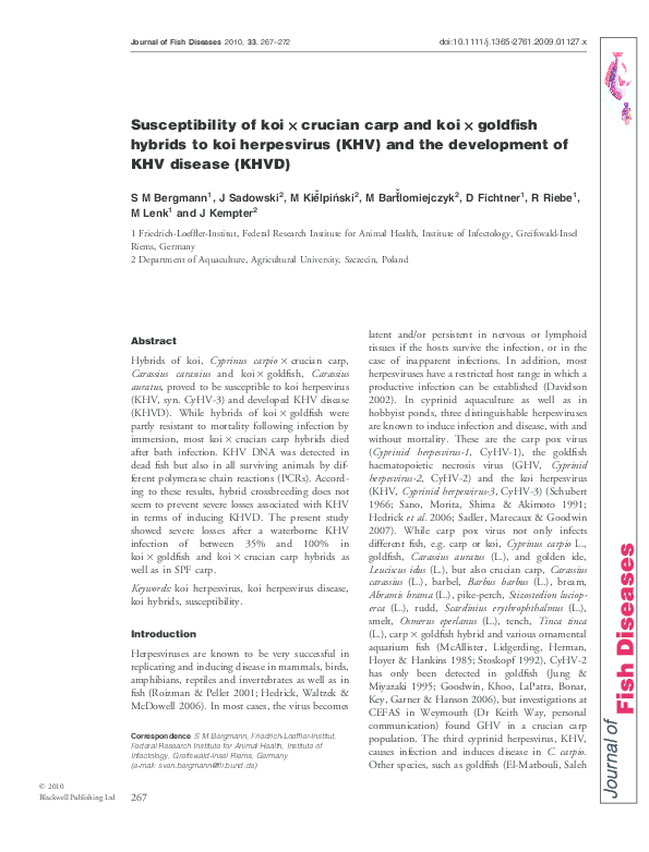 (PDF) Susceptibility of koi x crucian carp and koi x goldfish hybrids ...