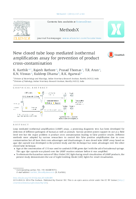 (PDF) New closed tube loop mediated isothermal amplification assay for ...