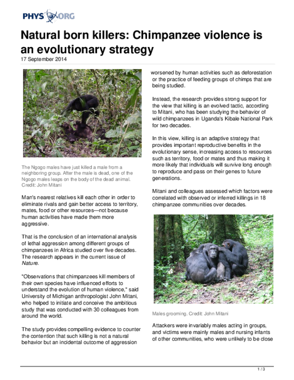 (PDF) Natural born killers: Chimpanzee violence is an evolutionary strategy