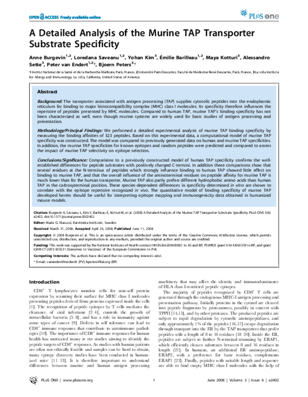 (PDF) A Detailed Analysis of the Murine TAP Transporter Substrate ...