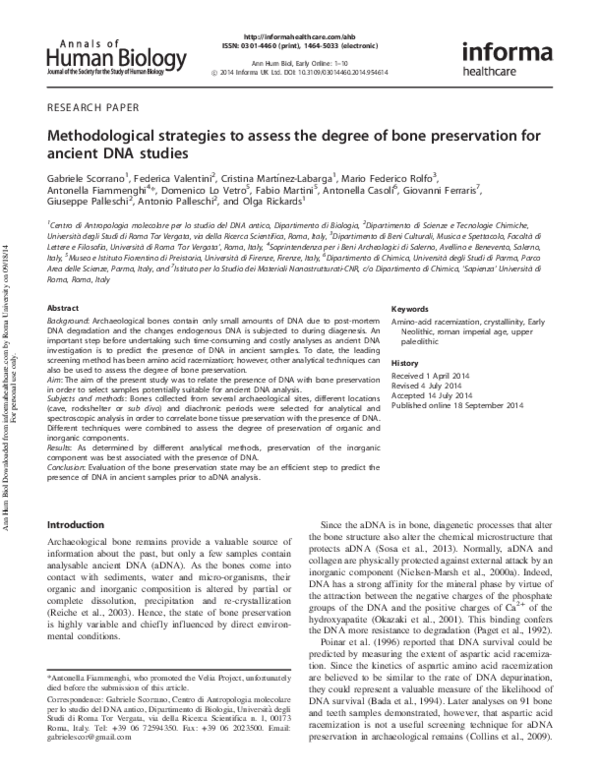 (PDF) Methodological strategies to assess the degree of bone ...