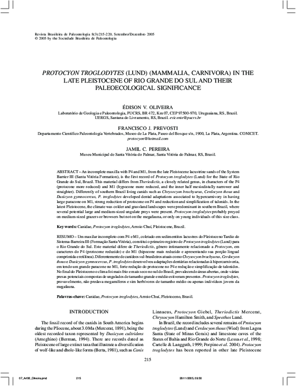 (PDF) Protocyon troglodytes (Lund) (Mammalia, Carnivora) in the late ...